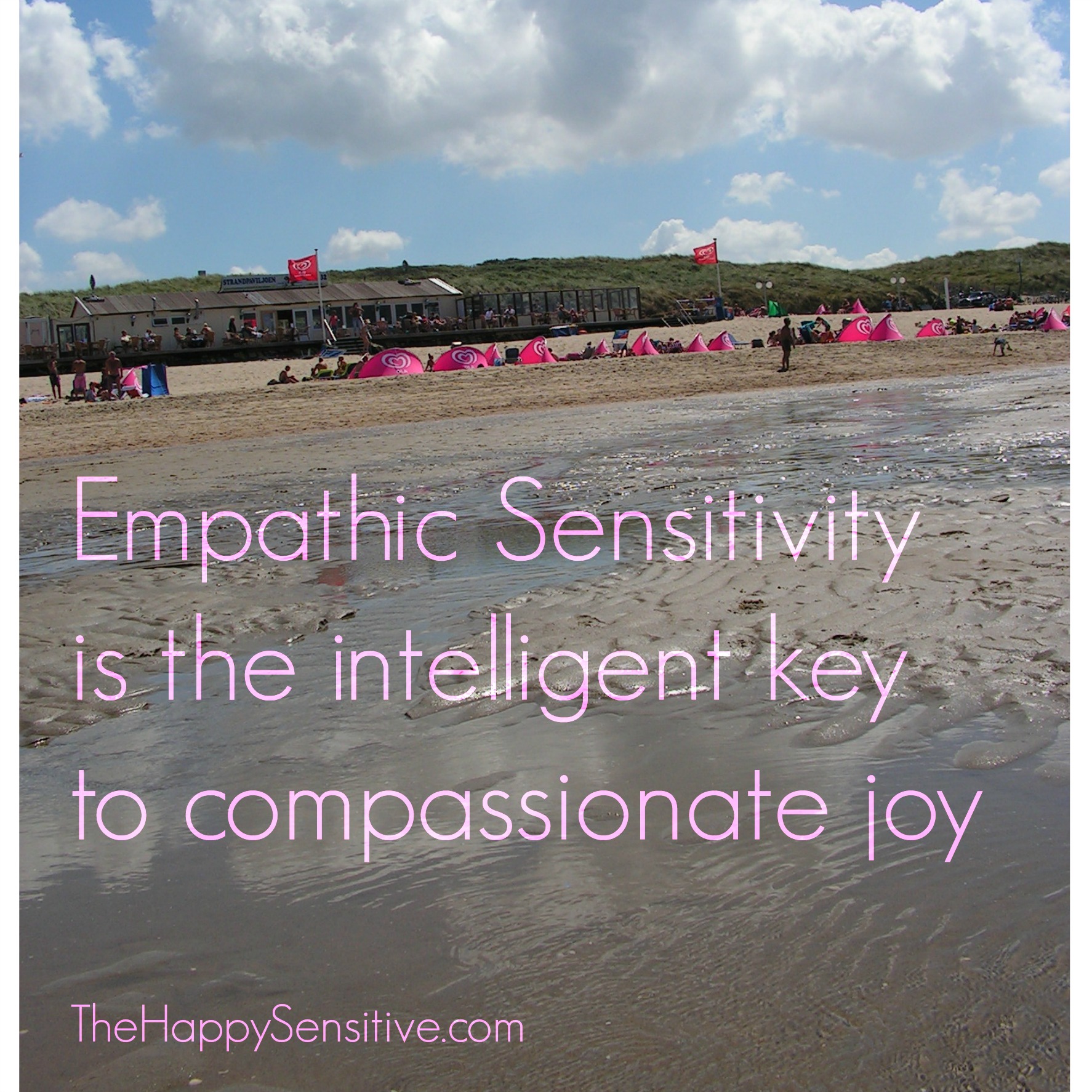 From Suffering Sponge to Sensitive Savant Empath Training Programme ...